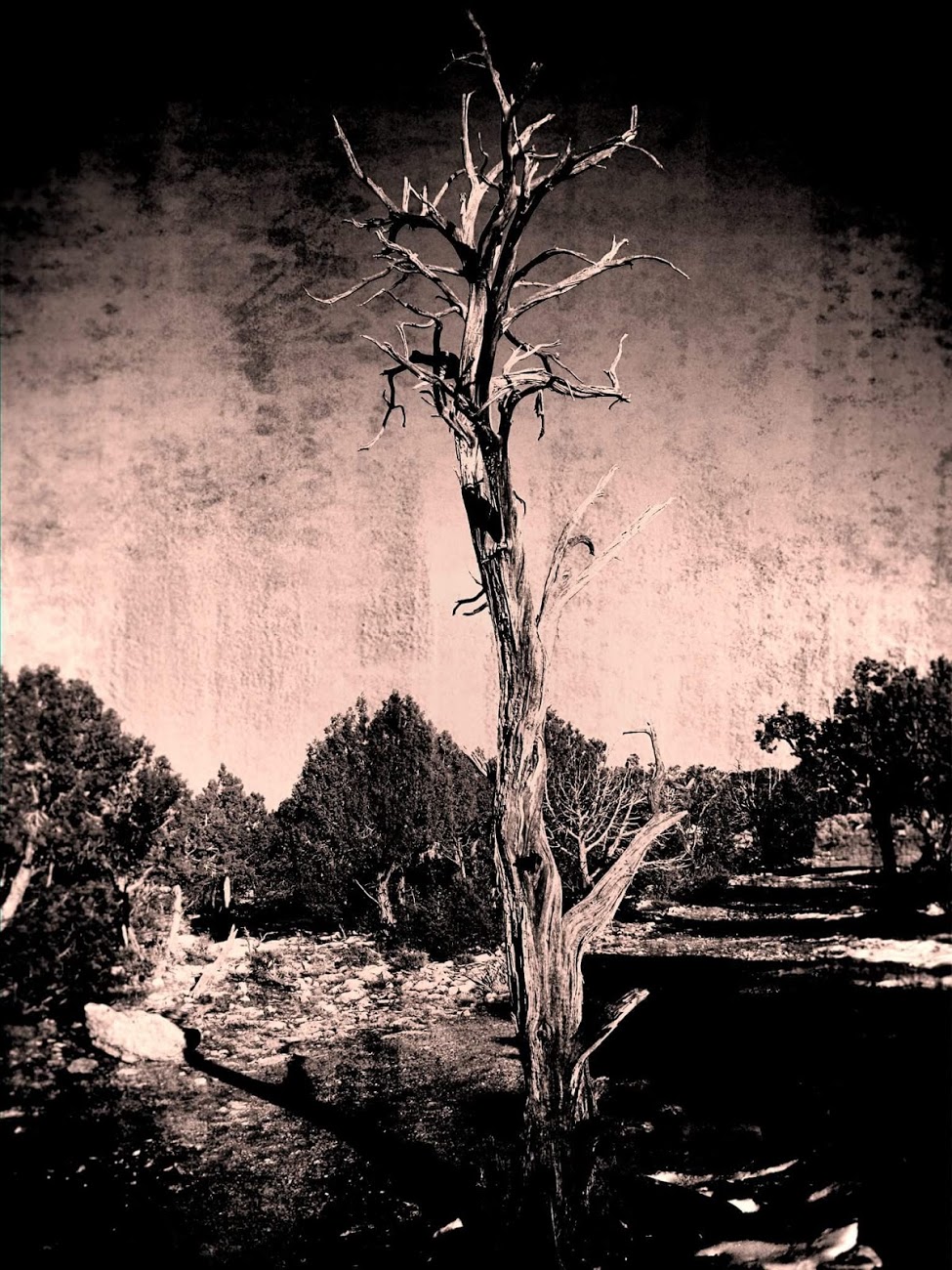 Contact – RadioactivePoetry